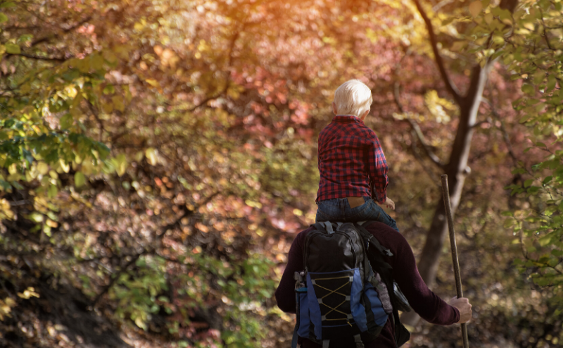 Série "La Loi scoute au quotidien" - Article 1 "Le scout met son ...